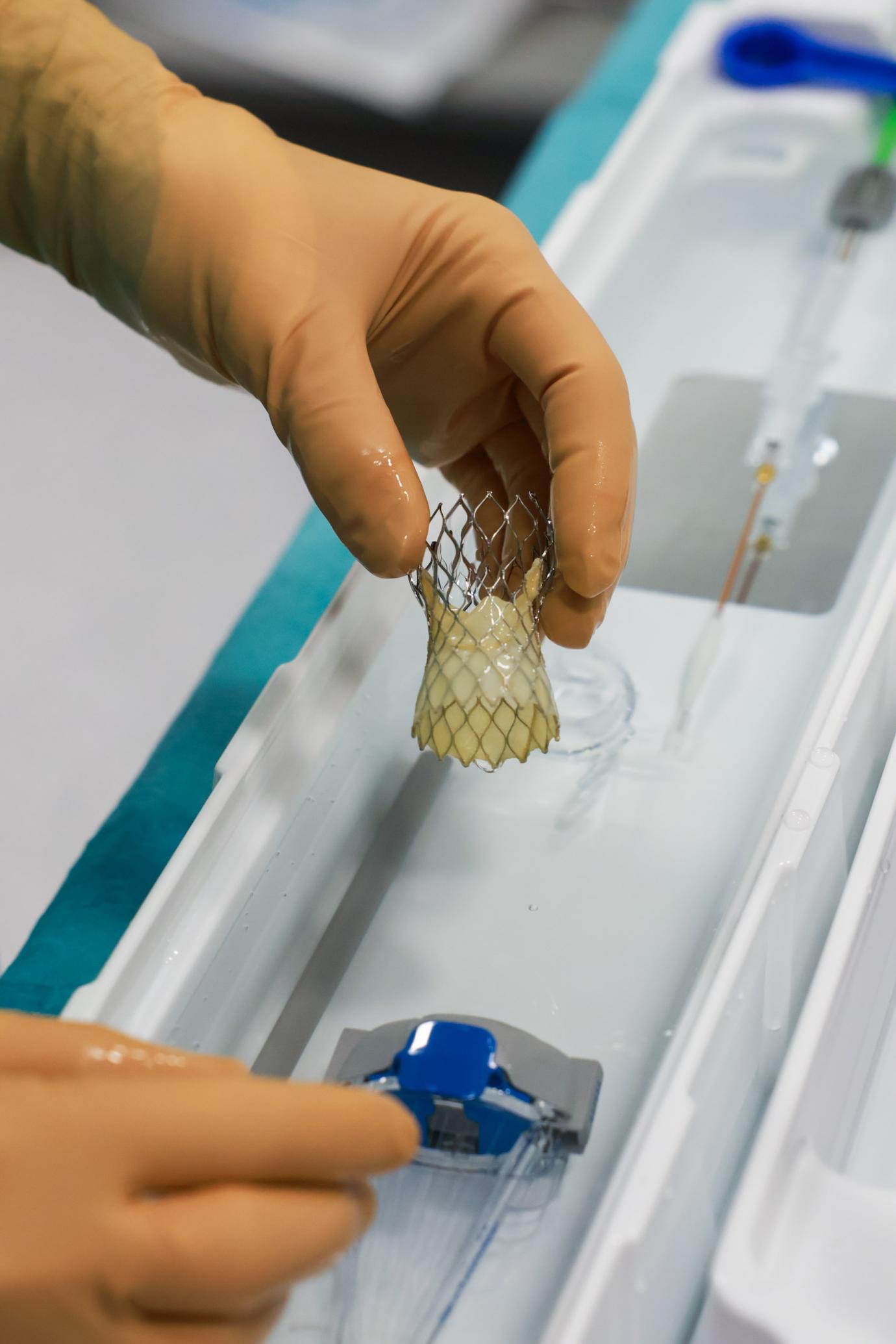 Next‑generation TAVI: the University Hospital of Clermont‑Ferrand among ...